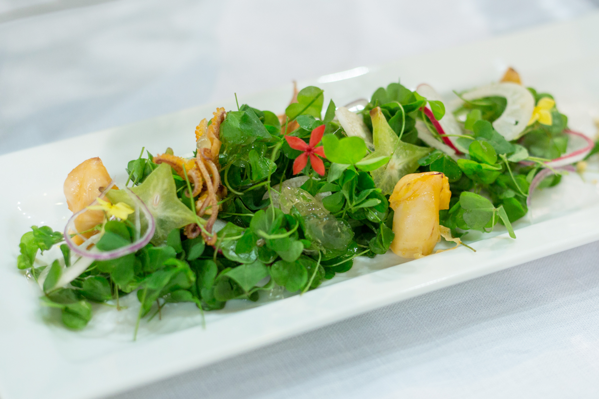 Công dụng và bài thuốc chữa bệnh của cây me đất